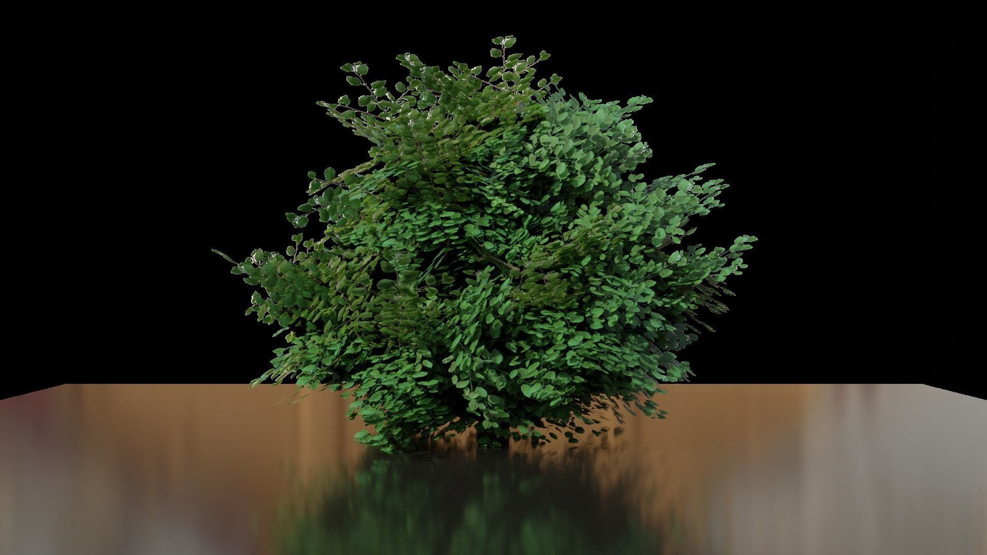 Simple shrub 3D model | CGTrader