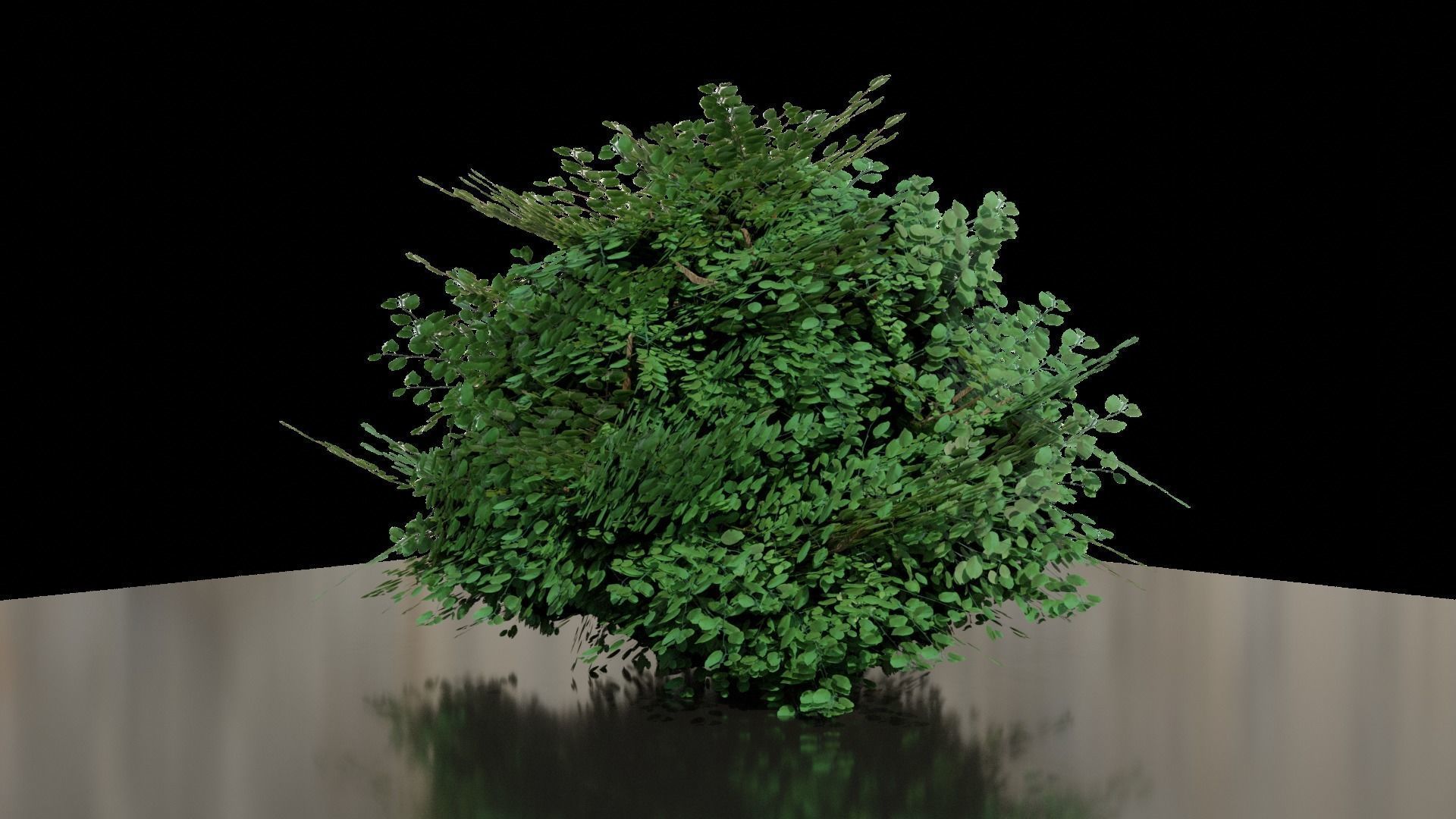 Simple shrub 3D model | CGTrader