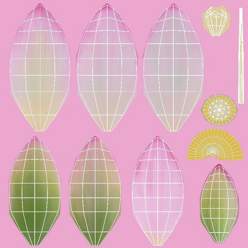 3D model Lotus Collection vol07 VR / AR / low-poly | CGTrader