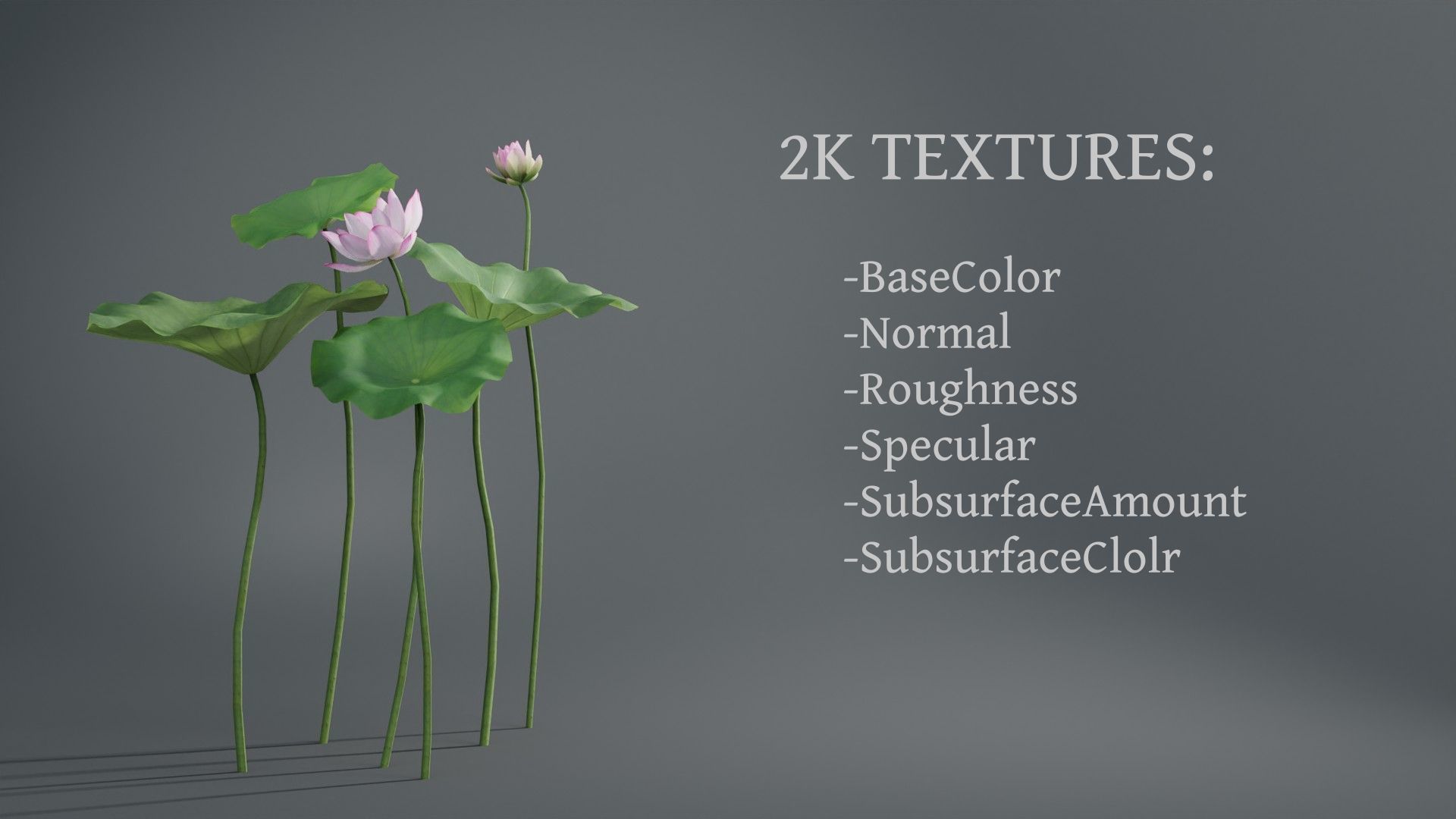 3D model Lotus Collection vol07 VR / AR / low-poly | CGTrader