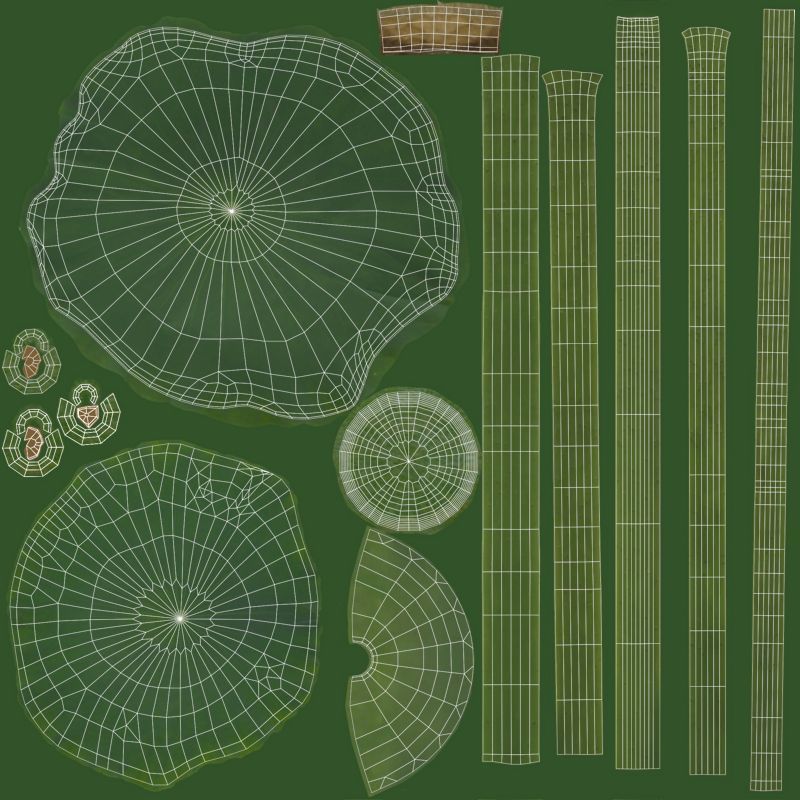 3D model Lotus Collection vol07 VR / AR / low-poly | CGTrader