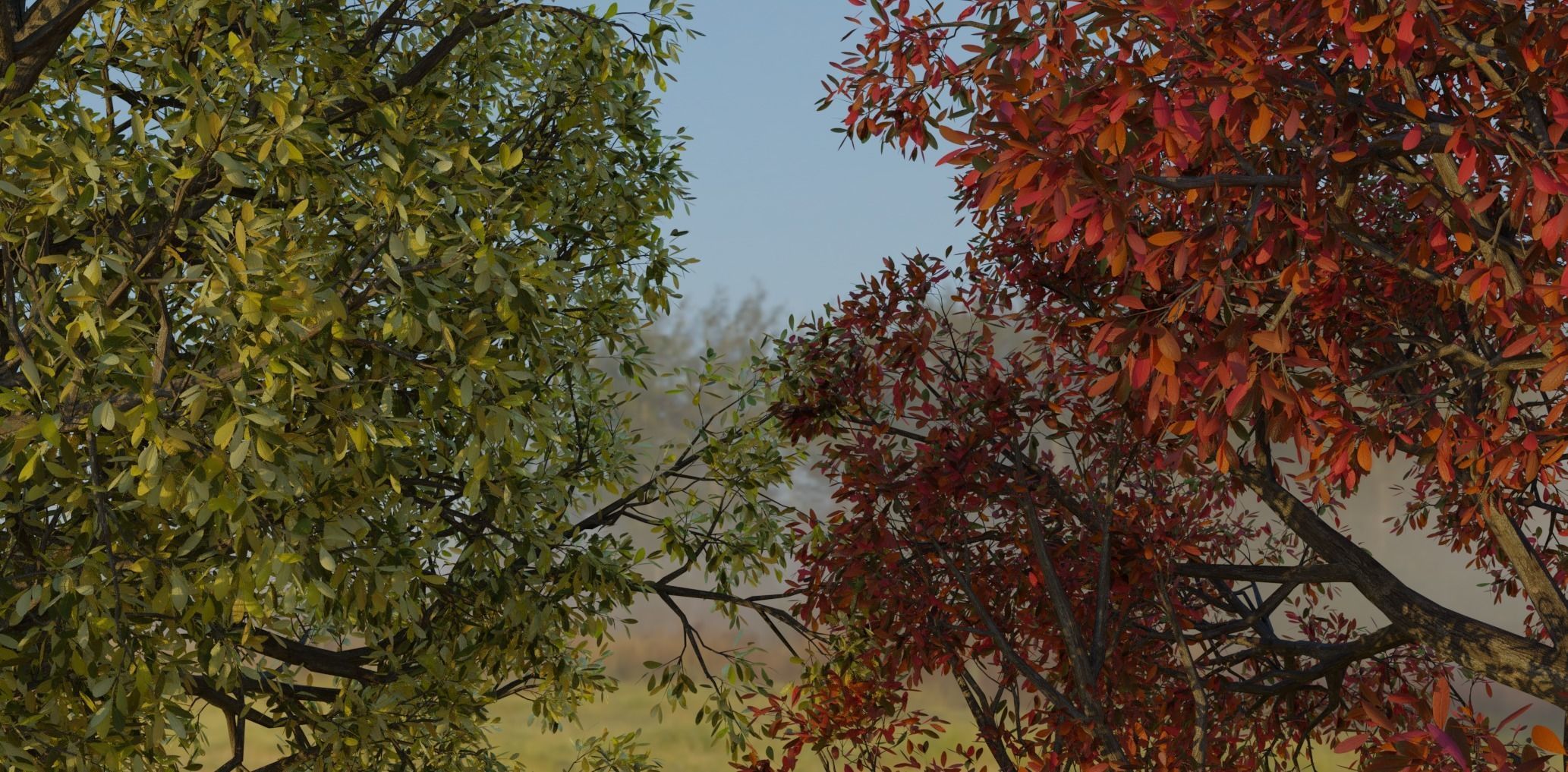 Grand Tree Pack 3D model | CGTrader