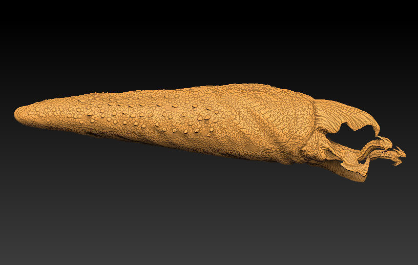 Tremors Graboid 3D model | CGTrader