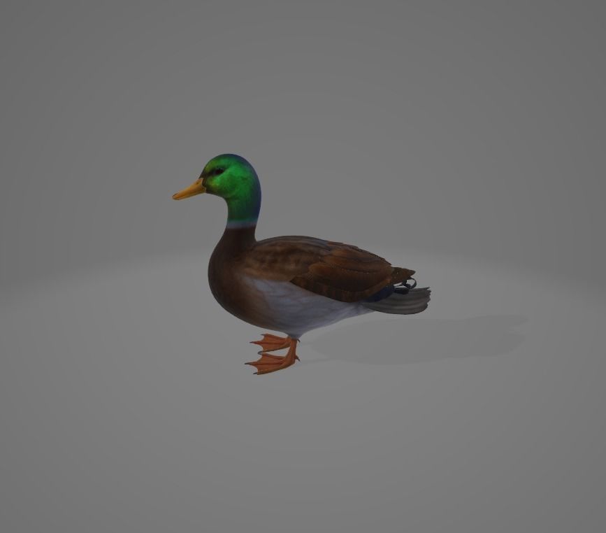 3d duck 3D model GLTF