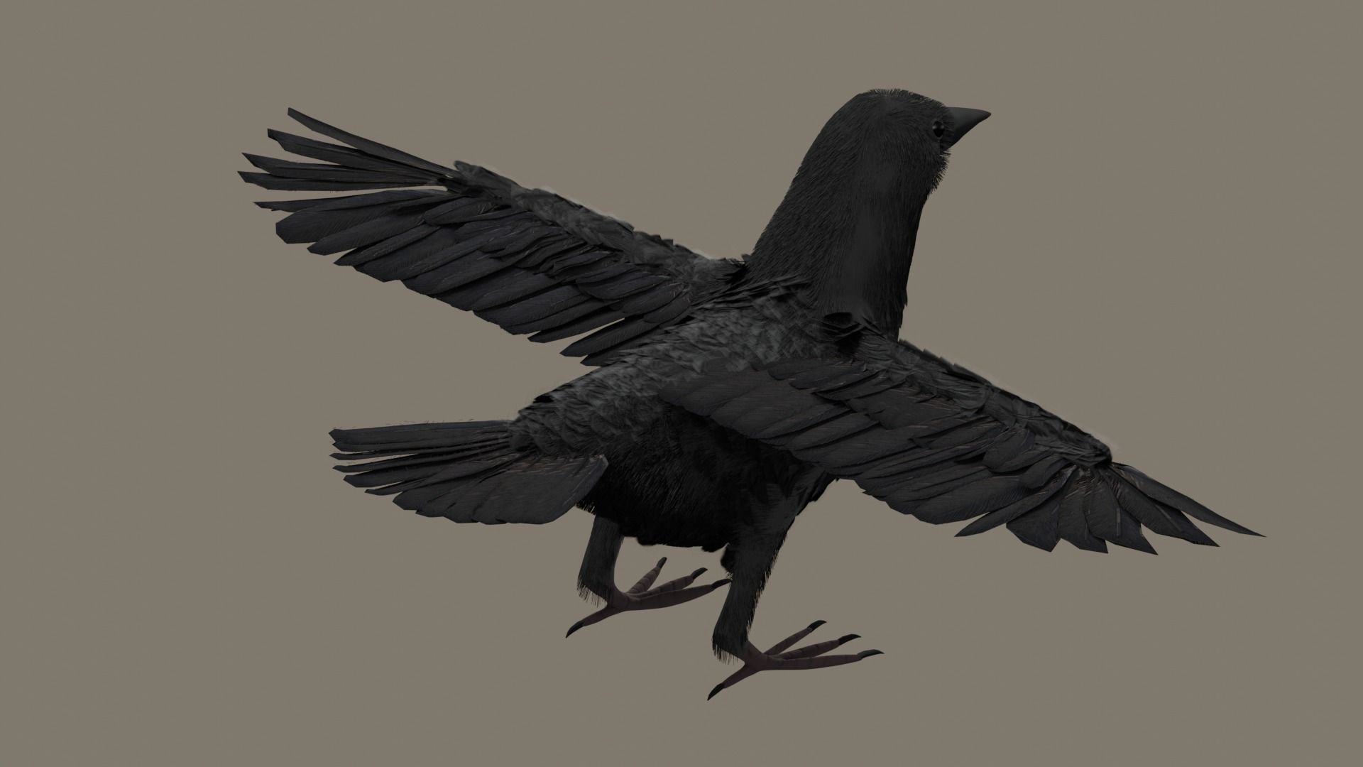 Raven High-Poly model 3D model | CGTrader