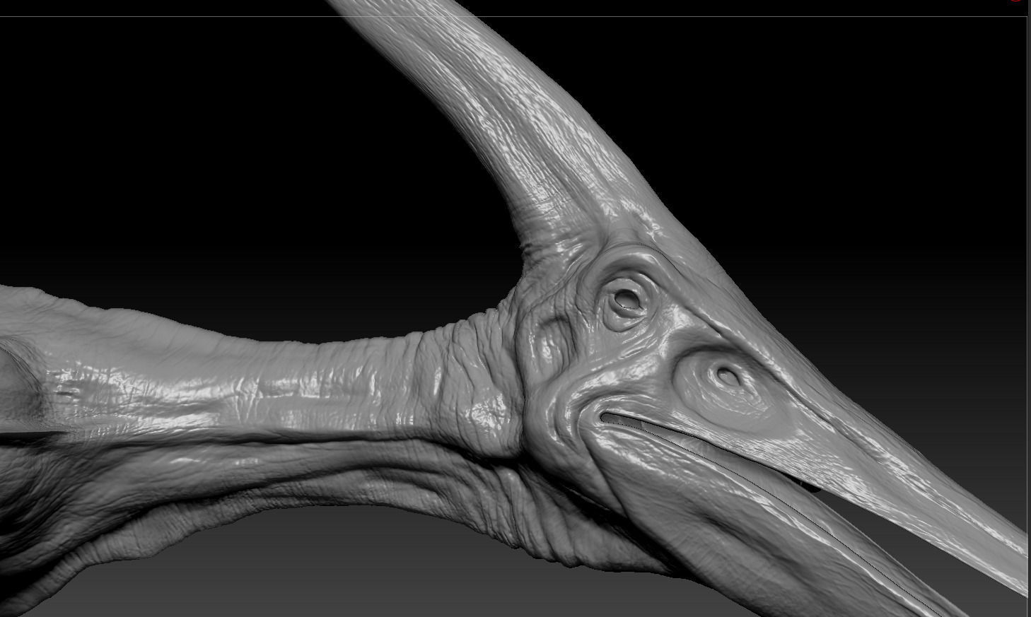 Pterodon 3D model | CGTrader
