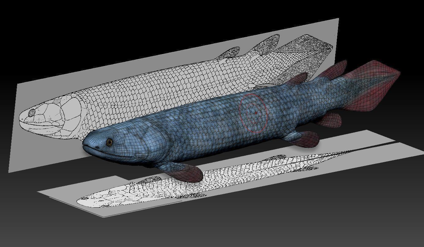 3D model Extinct fishes VR / AR / low-poly | CGTrader