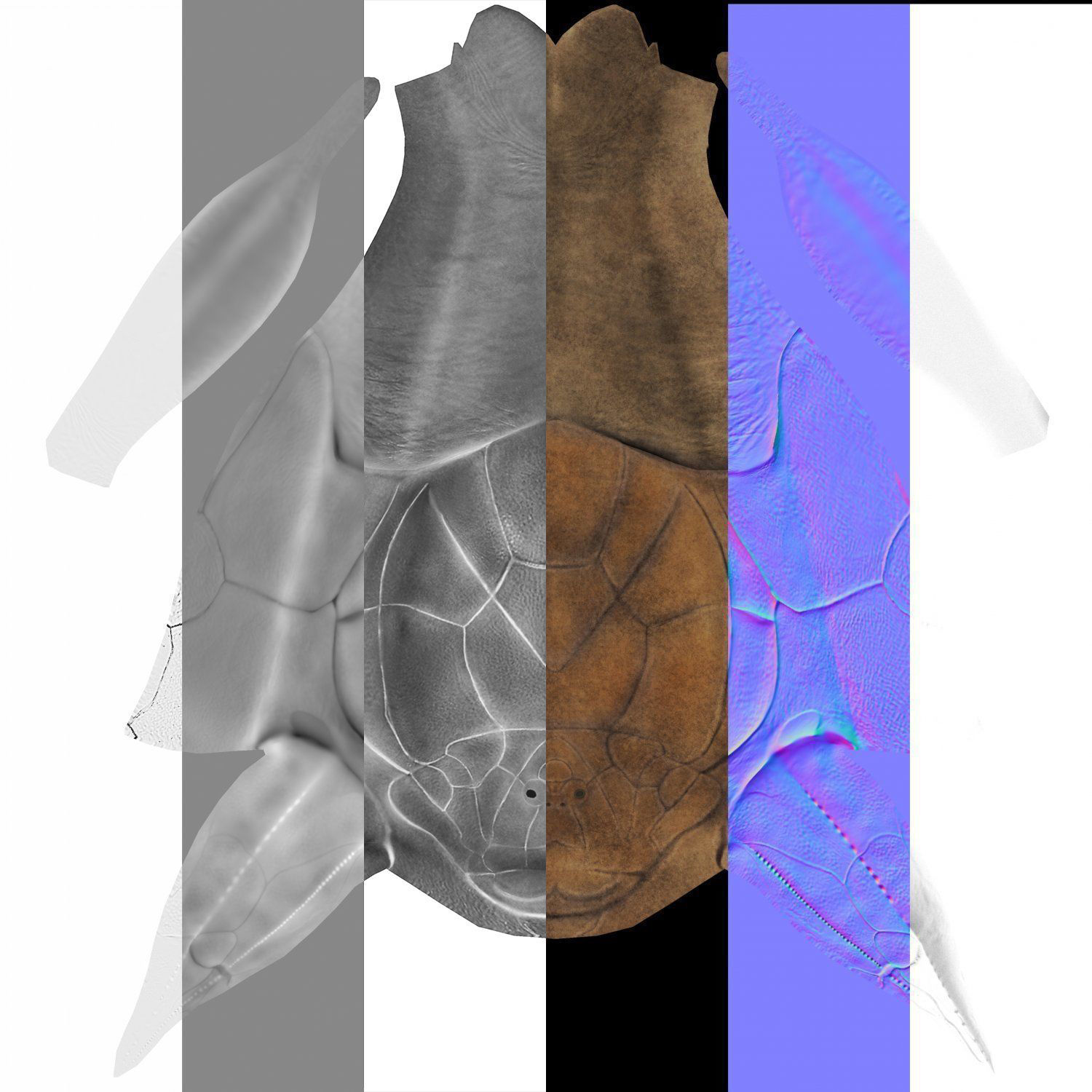 3D model Extinct fishes VR / AR / low-poly | CGTrader