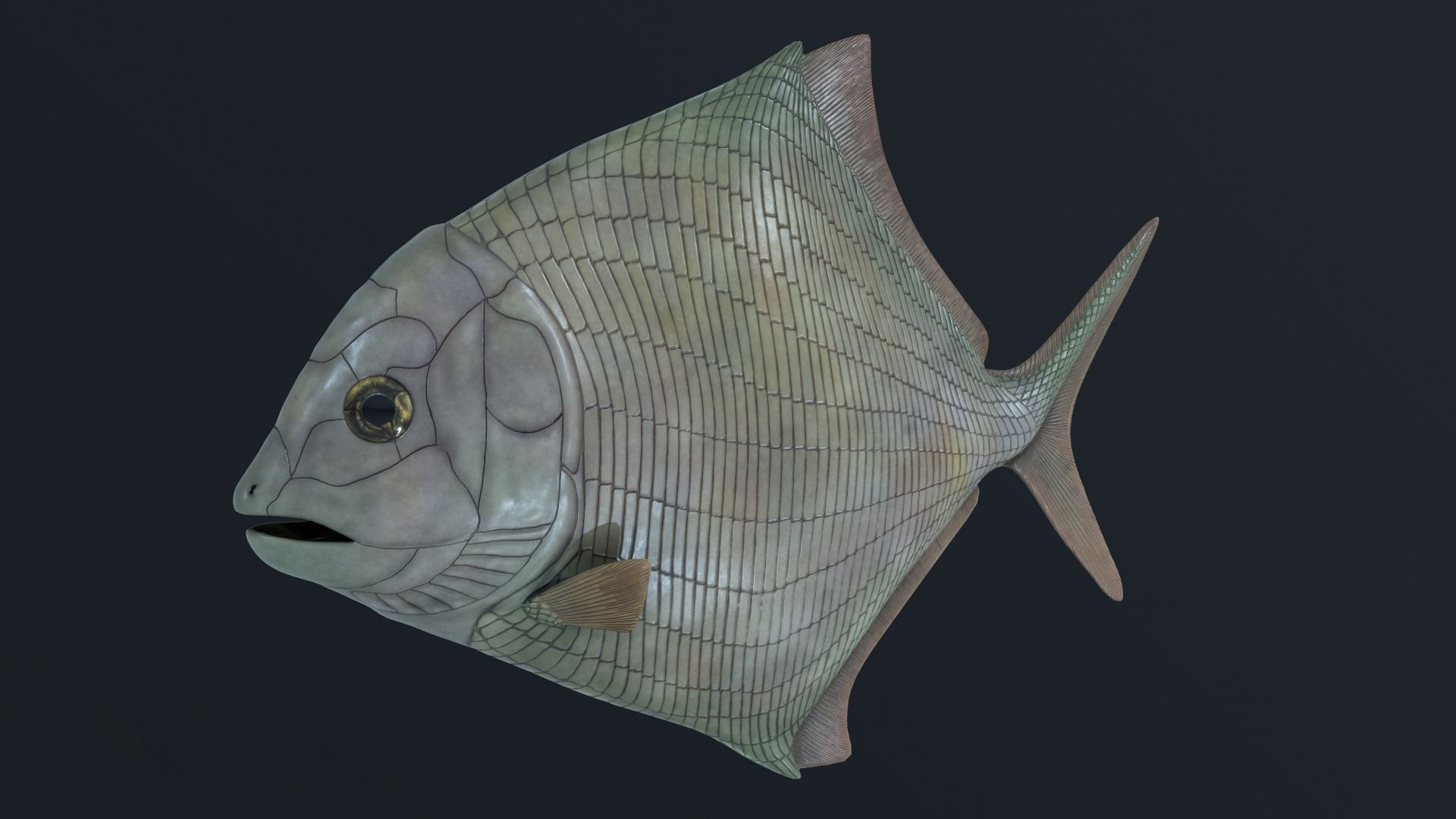 3D model Extinct fishes VR / AR / low-poly | CGTrader