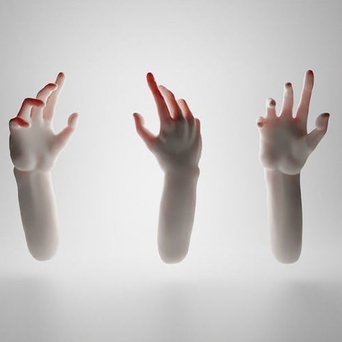 Human Male Hand 3D Model 3D model | CGTrader
