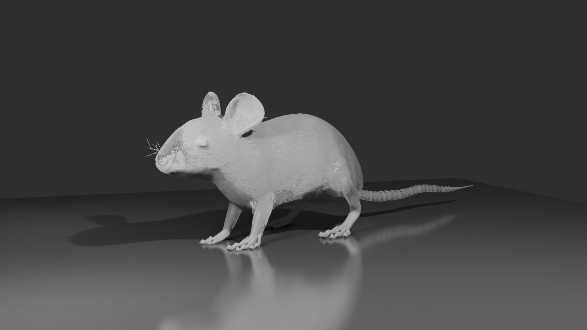 3D model Rat 3d Model VR / AR / low-poly | CGTrader