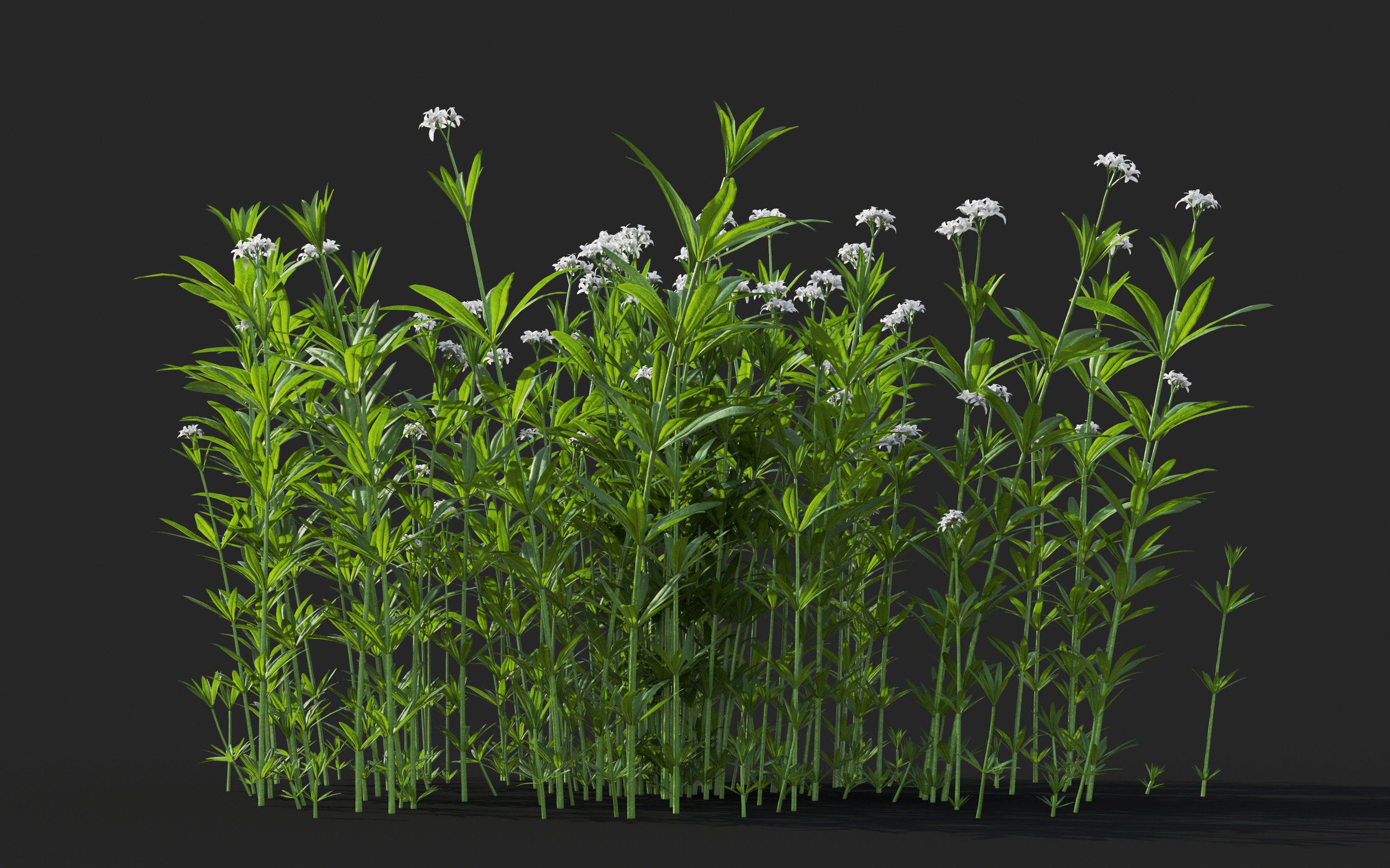 Ground cover plants Collection - Include GrowFX and Mesh file 3D model ...