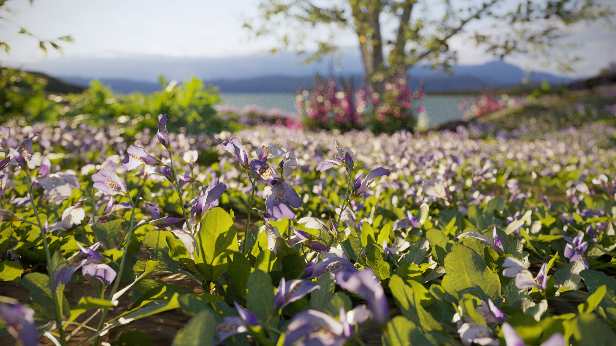 Ground cover plants Collection - Include GrowFX and Mesh file 3D model ...