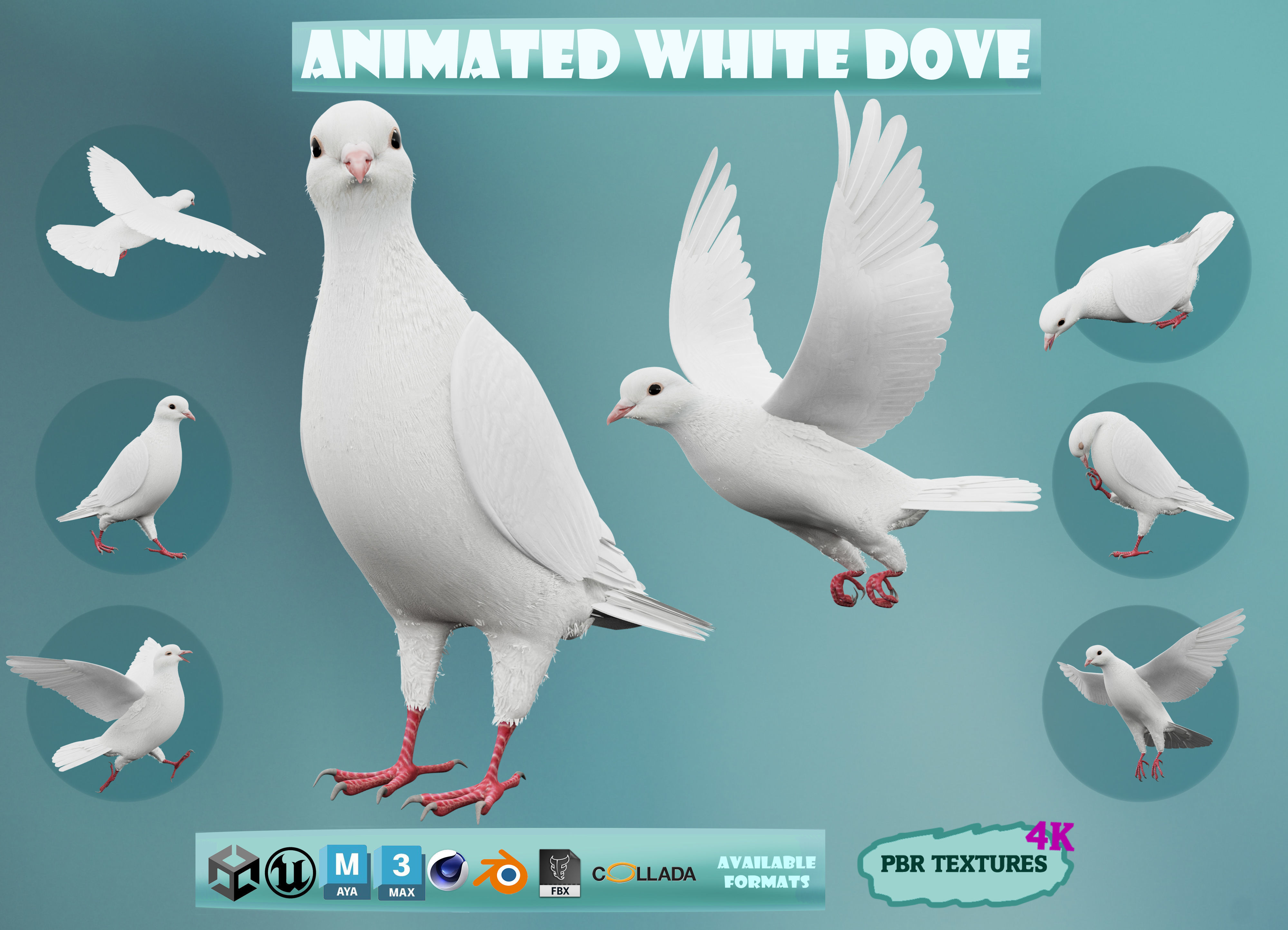 3D model Realistic Animated White Dove Low-poly VR / AR / low-poly ...