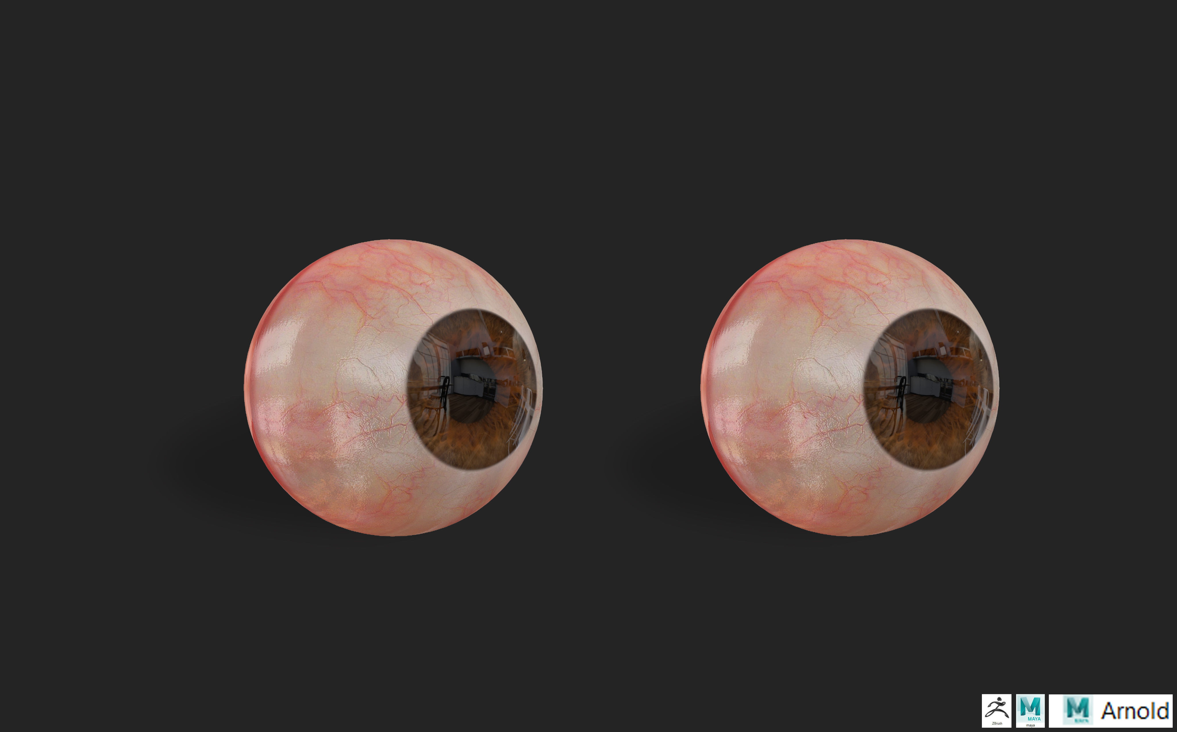 3D model realistic eye human VR / AR / low-poly | CGTrader