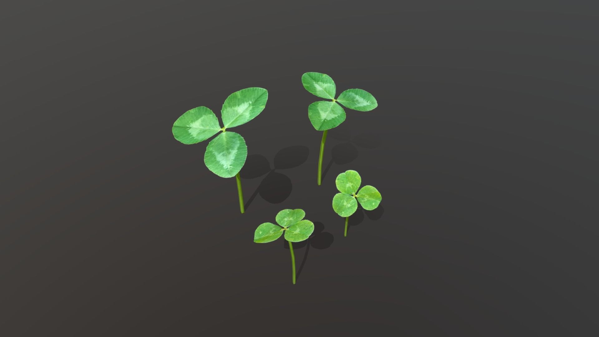 3D model Clovers four leaf VR / AR / low-poly | CGTrader