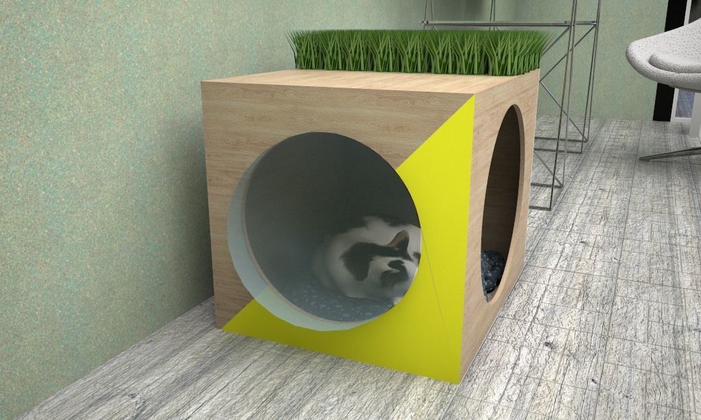 Modern house for cats 3D model | CGTrader