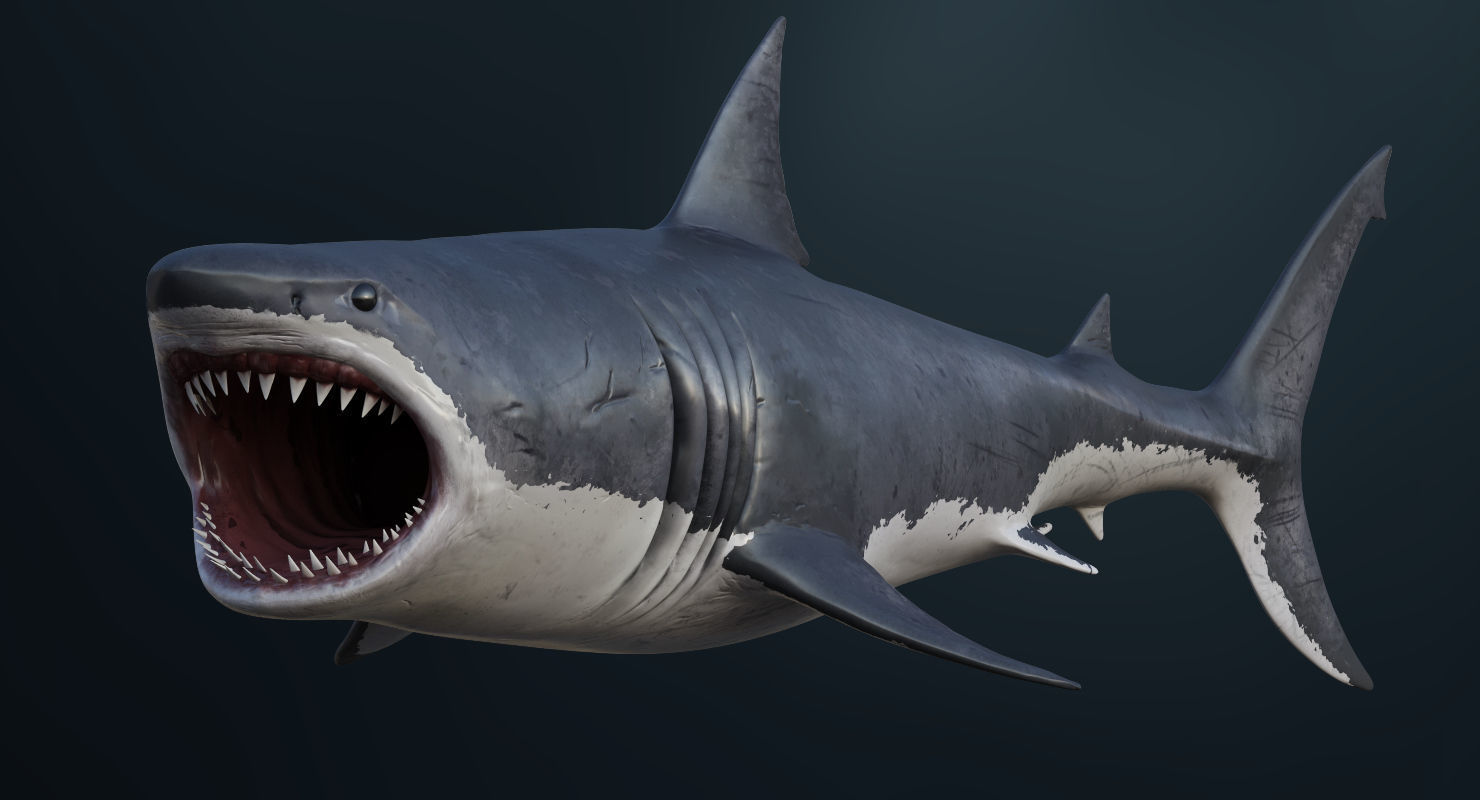 3D model Set of Sea Animals Rigged 8K VR / AR / low-poly | CGTrader