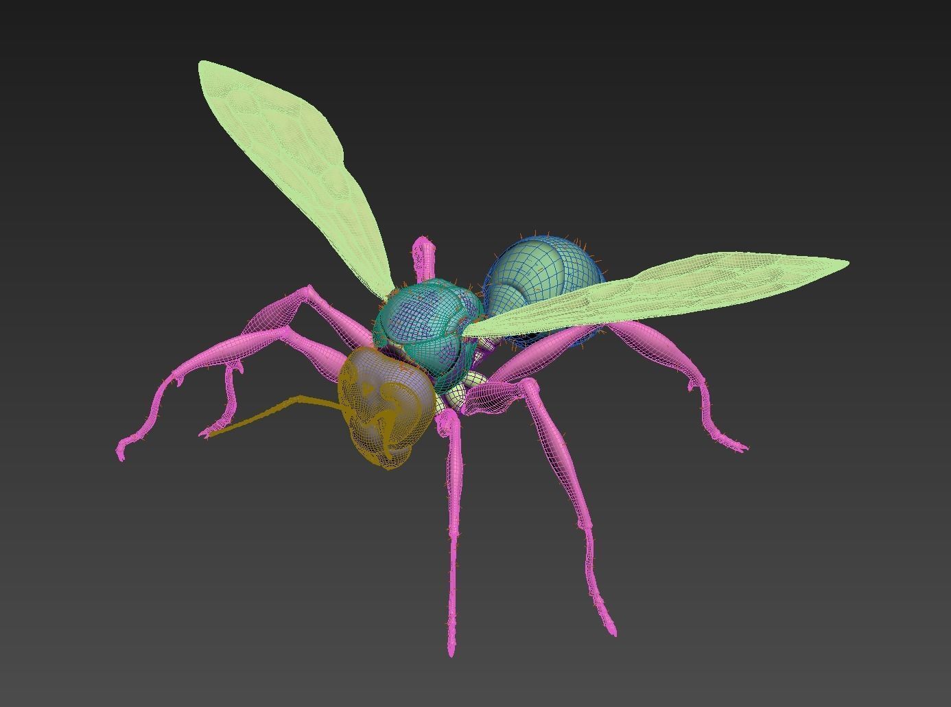 3D model Japanese Hornet Wasp Insect VR / AR / low-poly | CGTrader