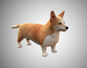 Corgi 3D Models | CGTrader