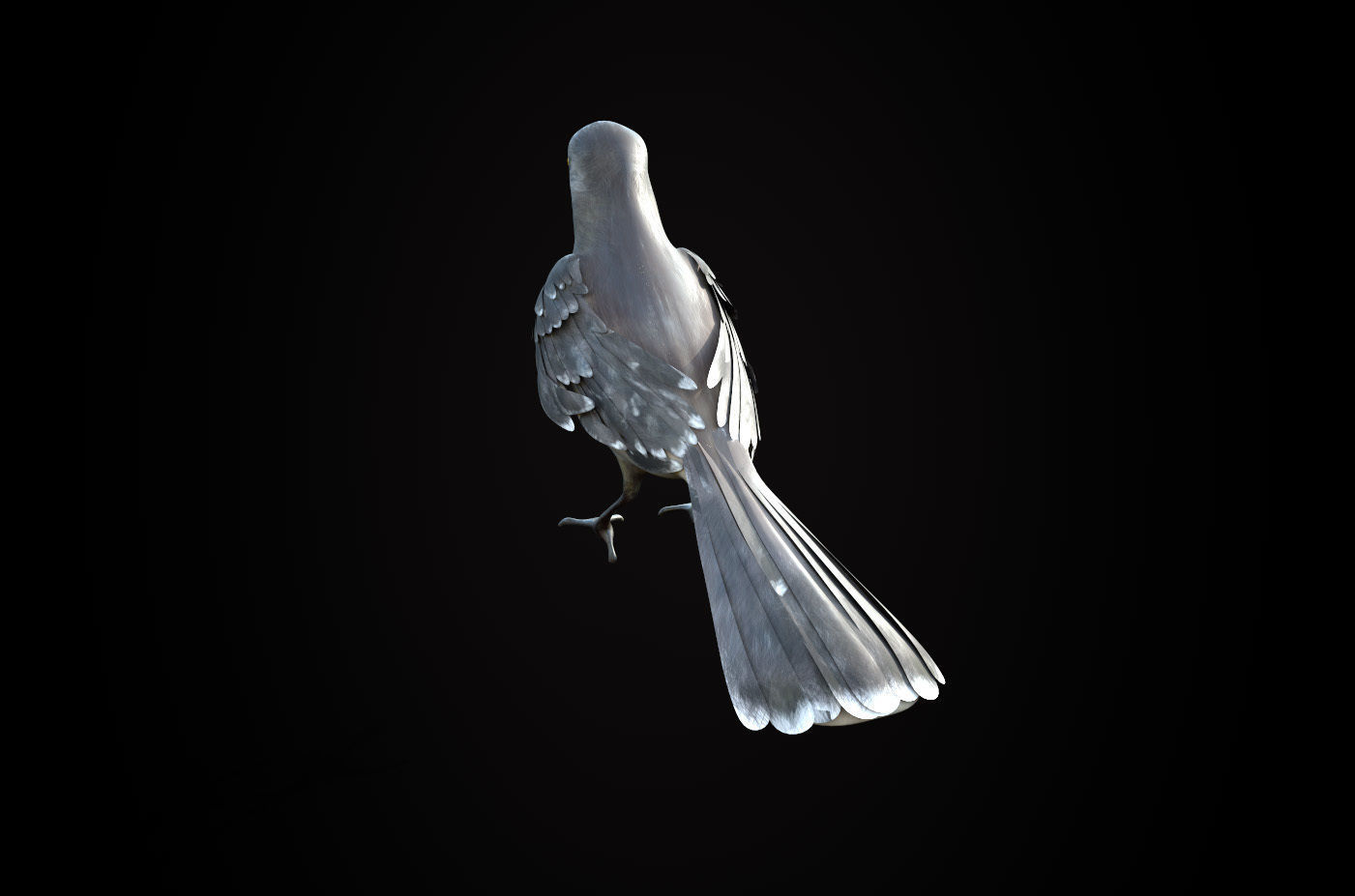 3D model Mockingbird Low Poly Rigged with high quality texture VR / AR ...