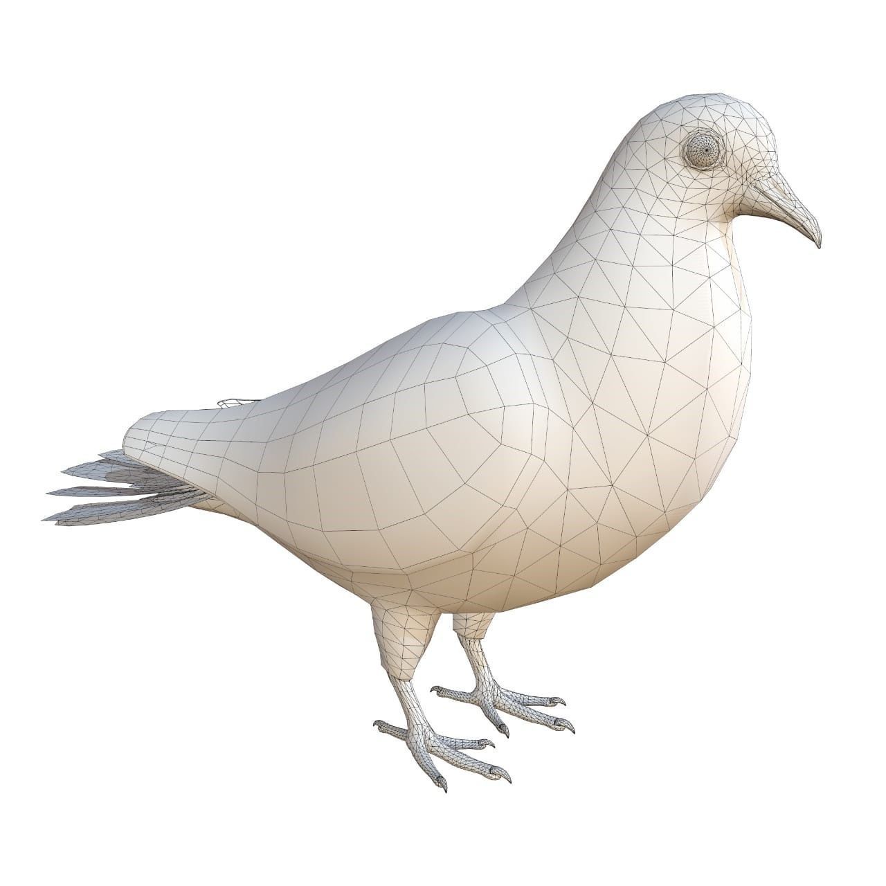 3D model Pigeon Low Poly Rigged with high quality texture VR / AR / low ...