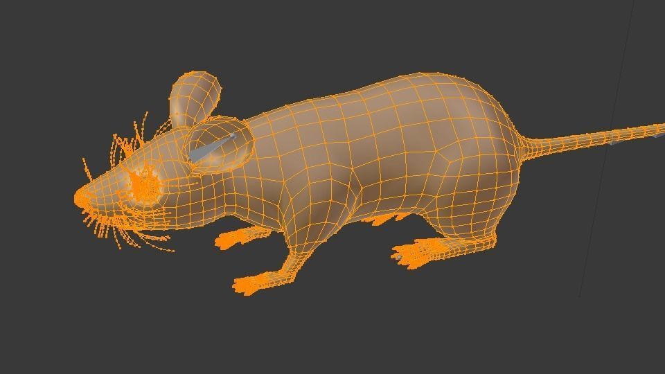 3D model White Mouse Mice Low Poly Rigged VR / AR / low-poly | CGTrader