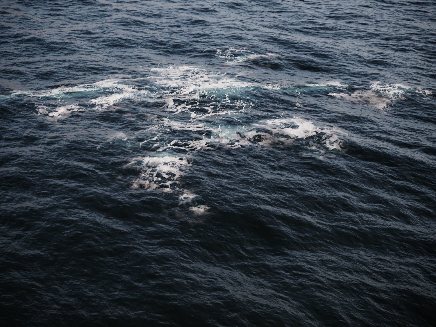 Texture Ocean Water Foam Decals Vray and Corona VR / AR / low-poly ...