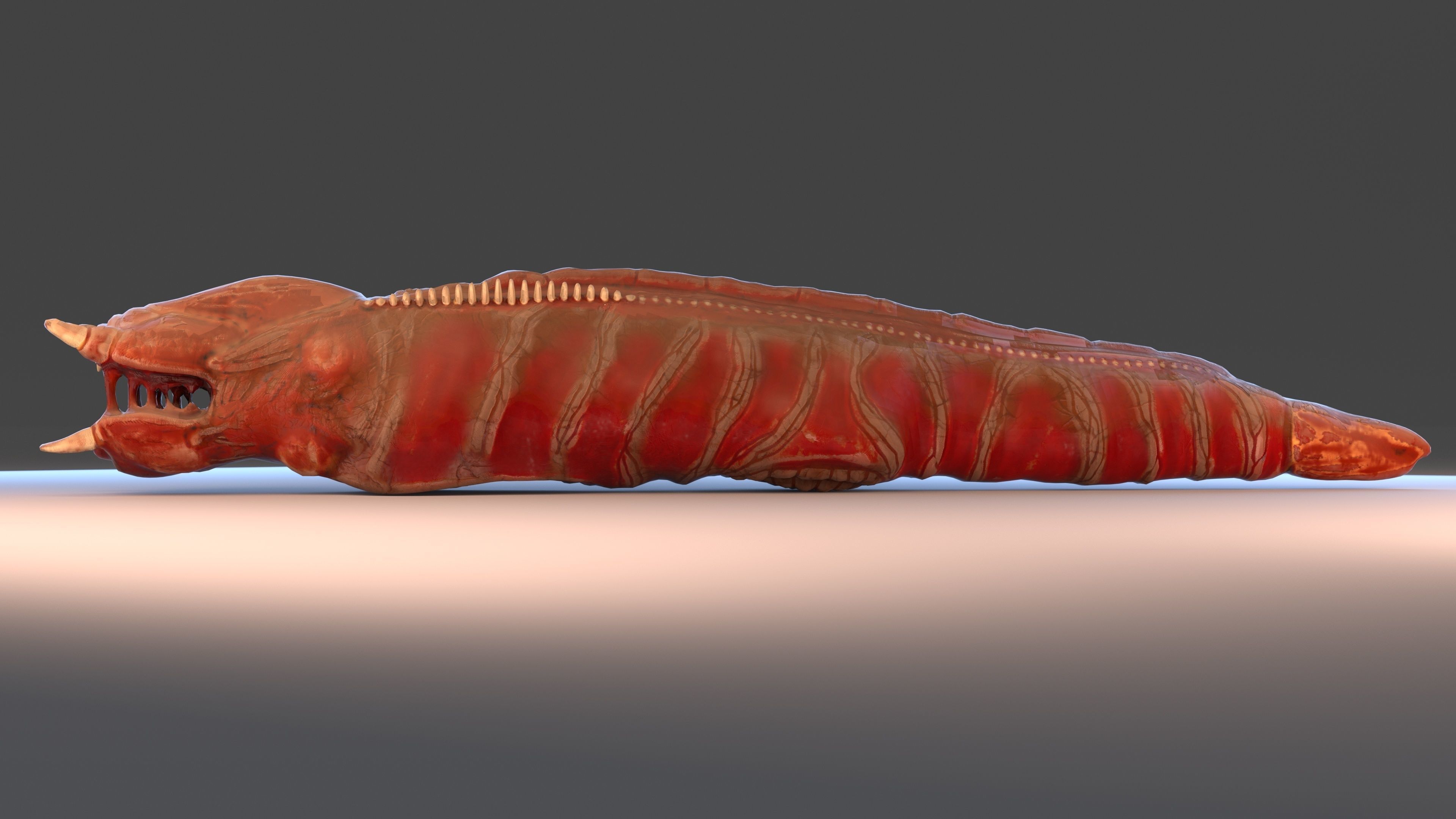 Worm monster 3D model rigged | CGTrader