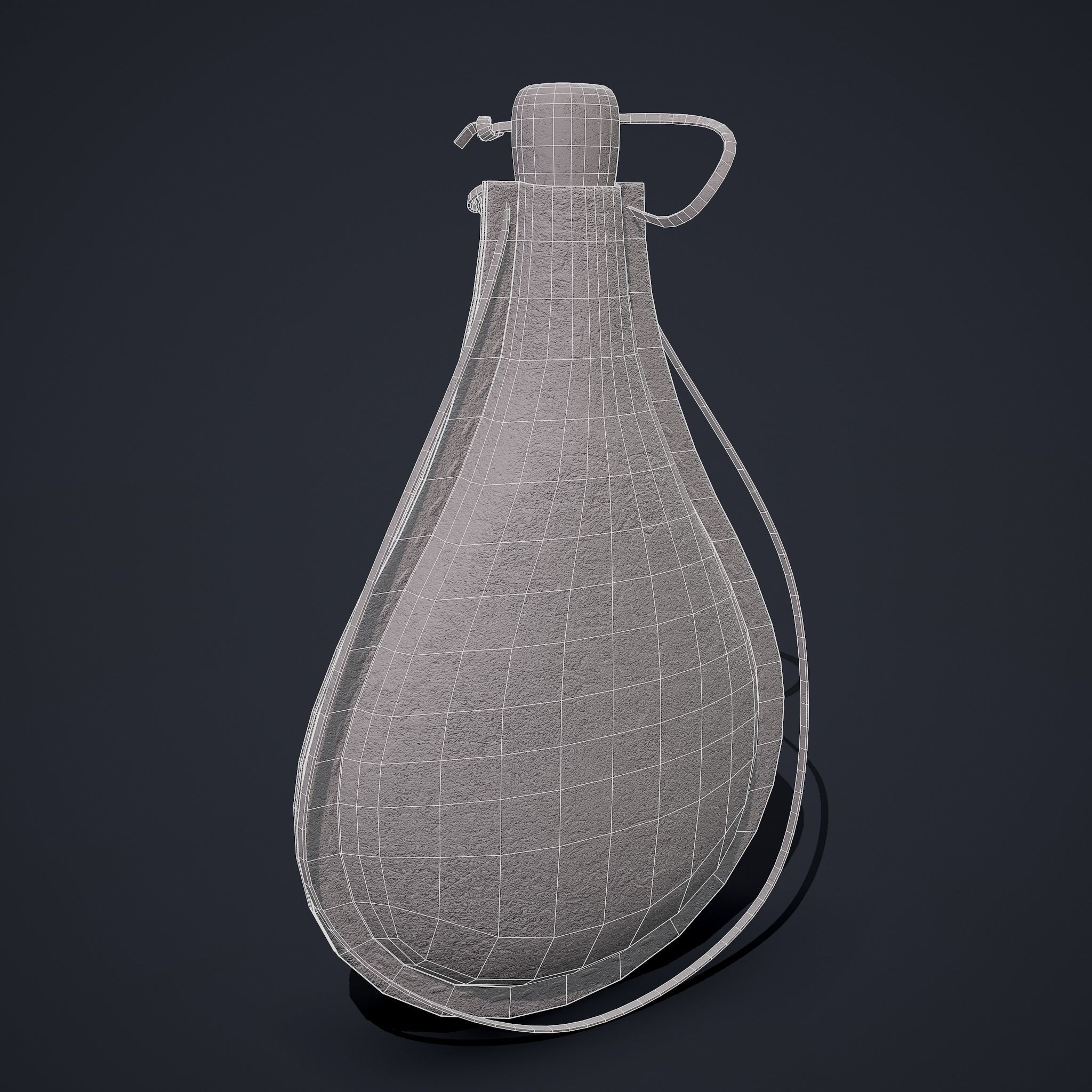 3D model Medieval Leather Water Bottle VR / AR / low-poly | CGTrader