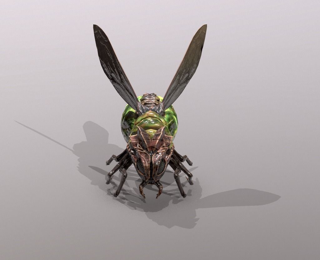 3D model Firefly VR / AR / low-poly rigged | CGTrader