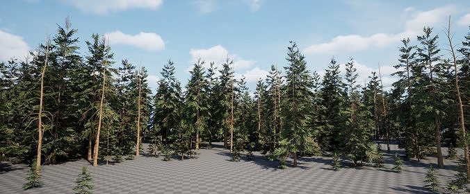 3D model Realistic Spruce Trees VR / AR / low-poly | CGTrader