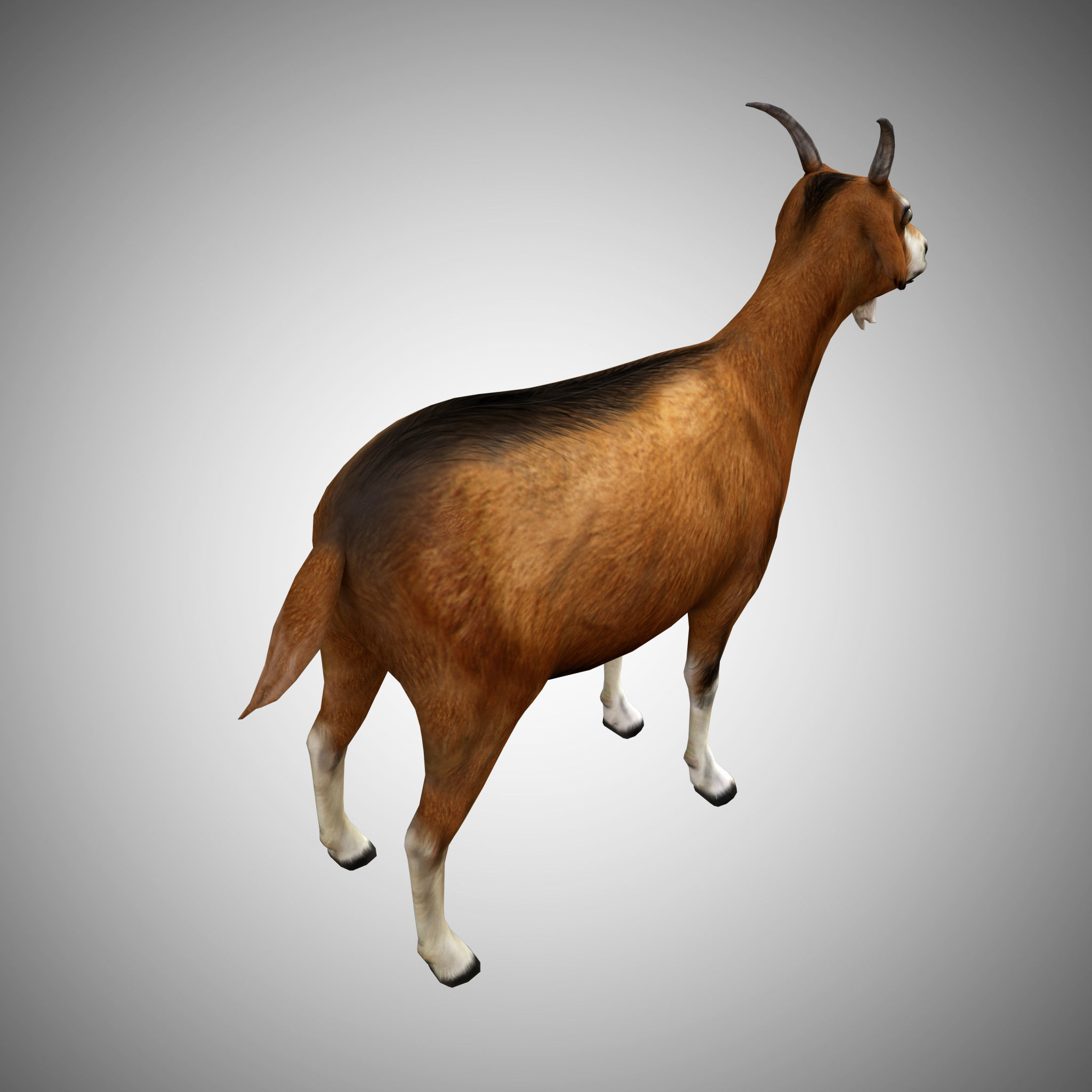 3D model 3d Goat VR / AR / low-poly | CGTrader