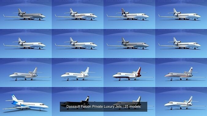 25 Dassault Falcon Private Luxury Jets 3D Model Collection | CGTrader