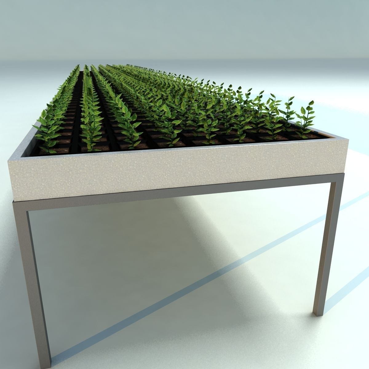 Seedlings Table 3D model | CGTrader