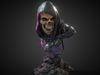 Skeletor bust 3D model 3D printable | CGTrader
