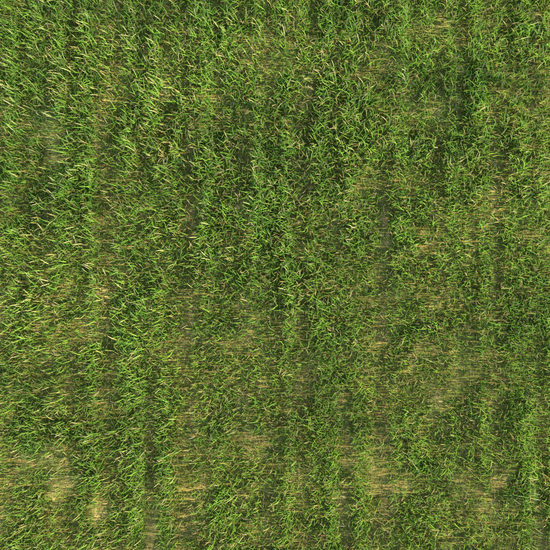 Green Grass 3D model | CGTrader