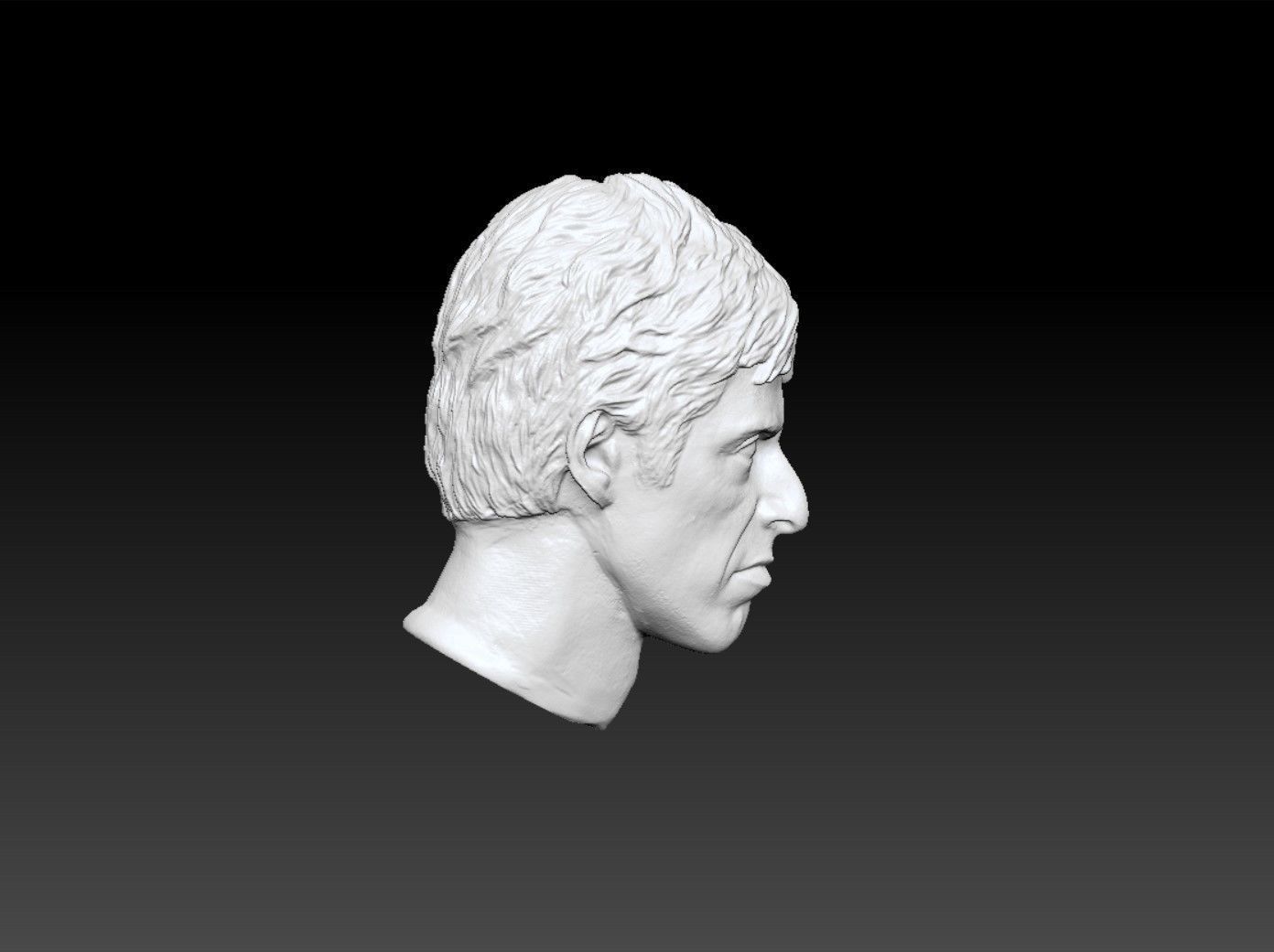 Al Pacino Scarface Head sculpture 3D print model 3D model 3D printable ...