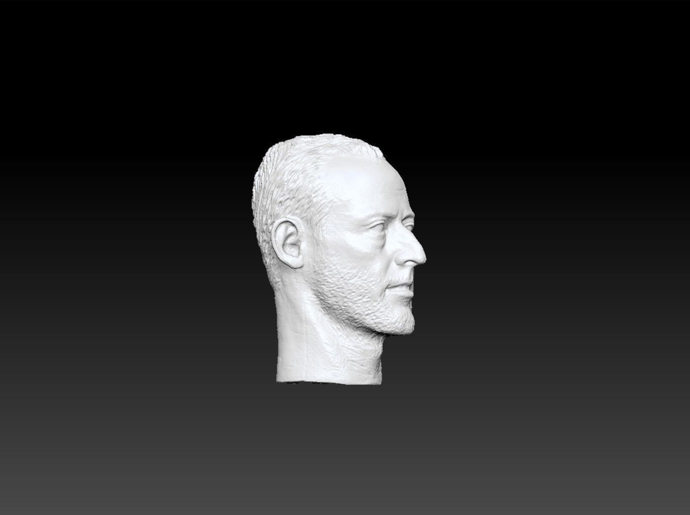 Jean Reno Head sculpture 3D print model 3D model 3D printable | CGTrader