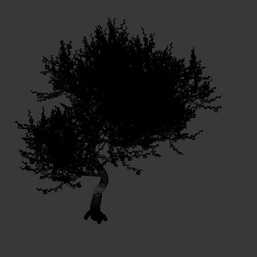 Pirus Malus Apple Tree 3D model | CGTrader