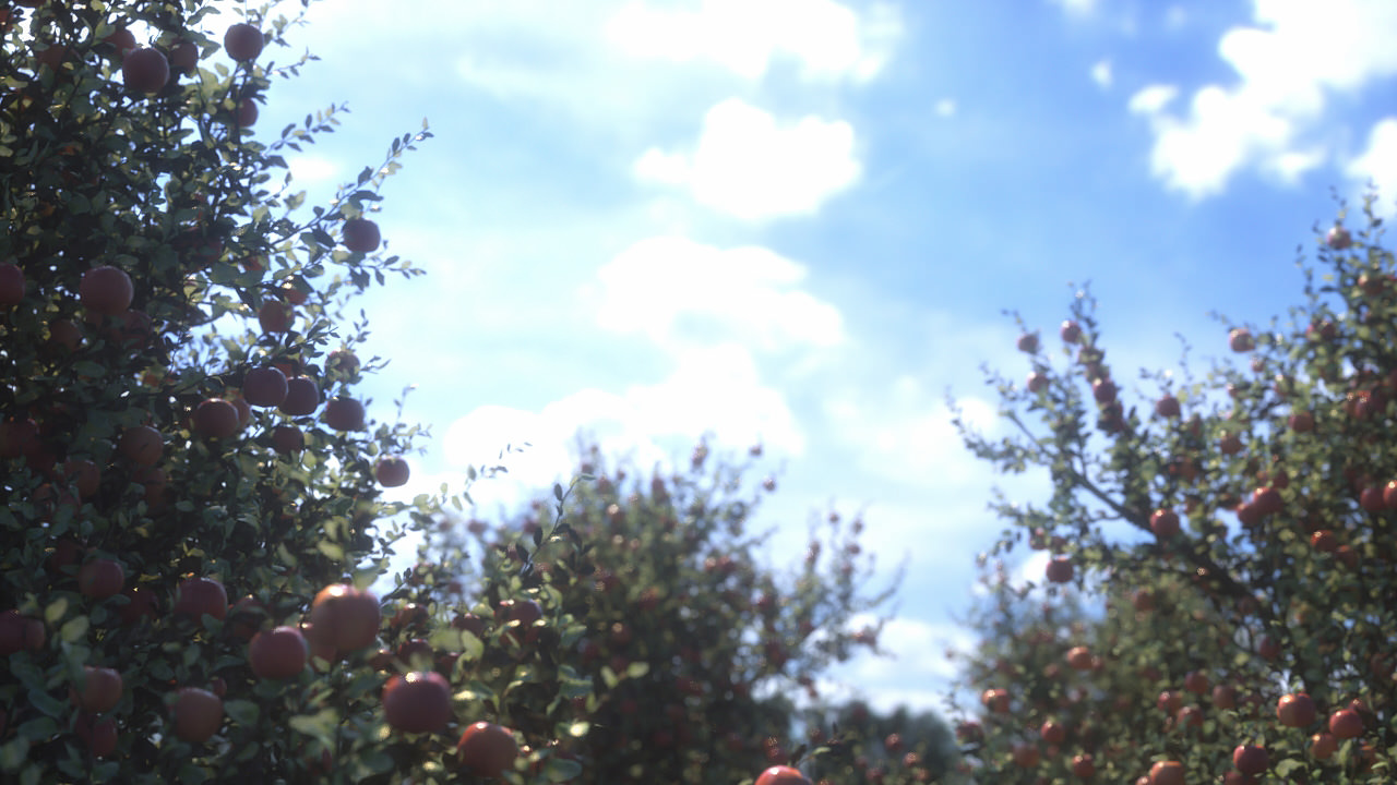 Pirus Malus Apple Tree 3D model | CGTrader