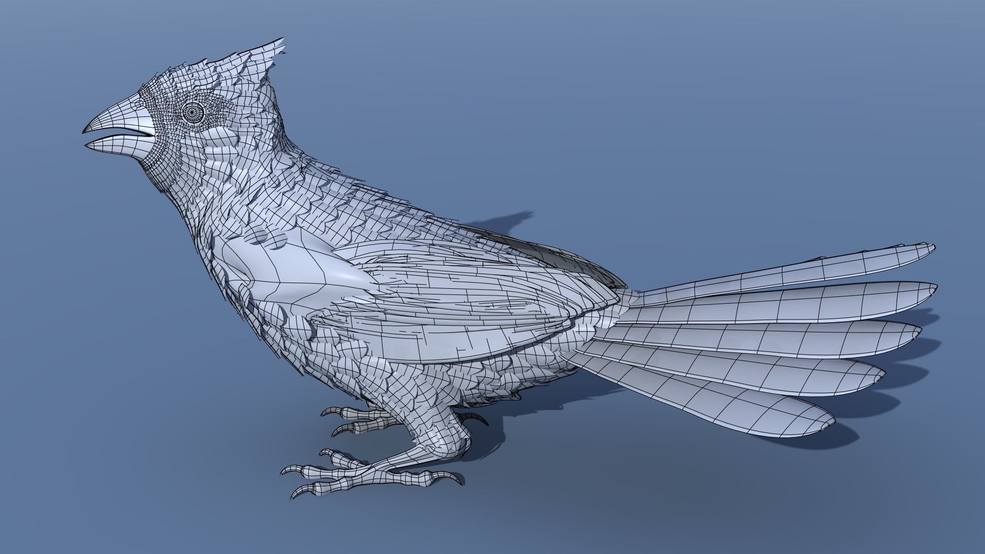 3D model Northern Cardinal - rigged - animated VR / AR / low-poly ...