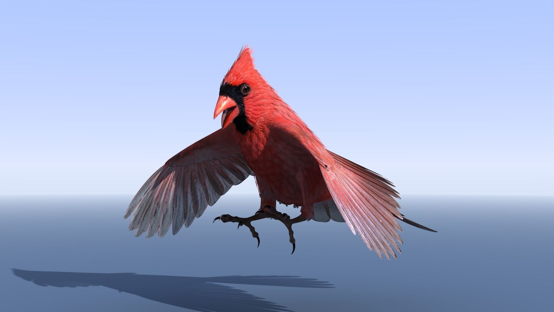 3D model Northern Cardinal - rigged - animated VR / AR / low-poly ...