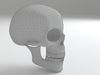 Cranium free 3D model | CGTrader
