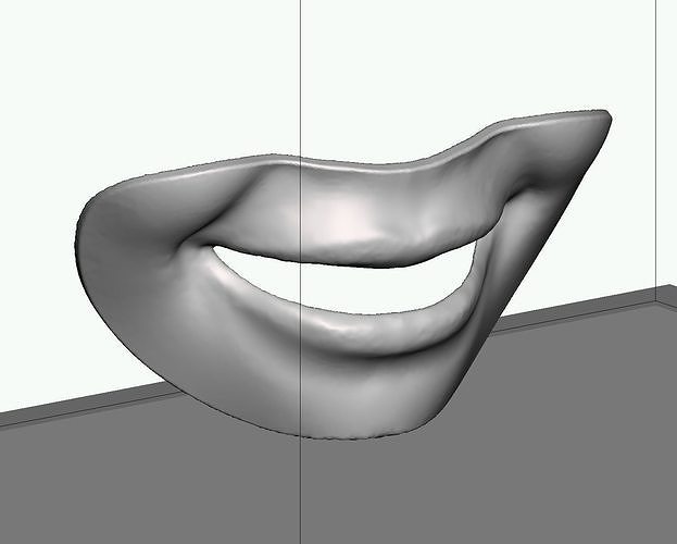 Smile line checker lip plate 3D model 3D printable | CGTrader
