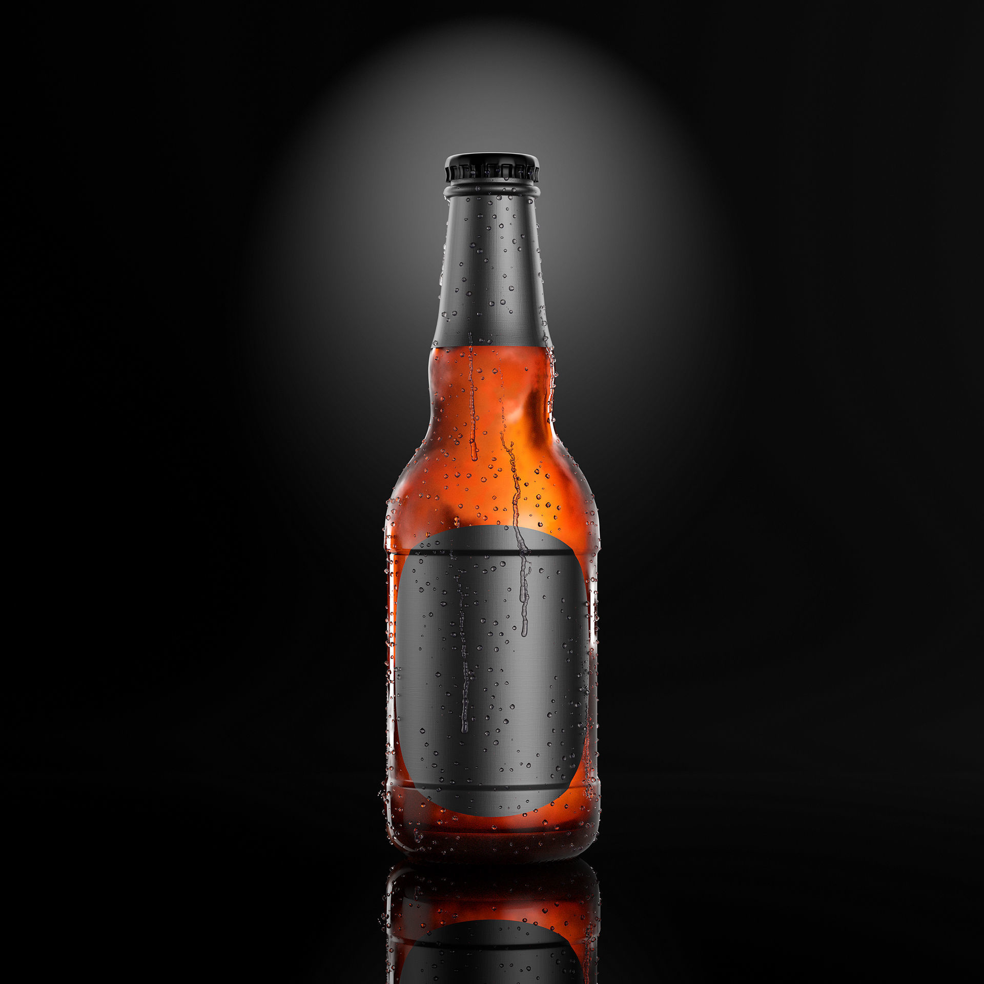 Studio Beer Bottles 3D model | CGTrader