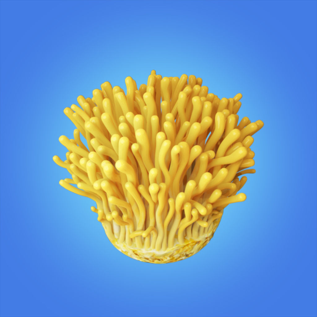 Mycelium Cordyceps 3d model hight quality 3D model | CGTrader