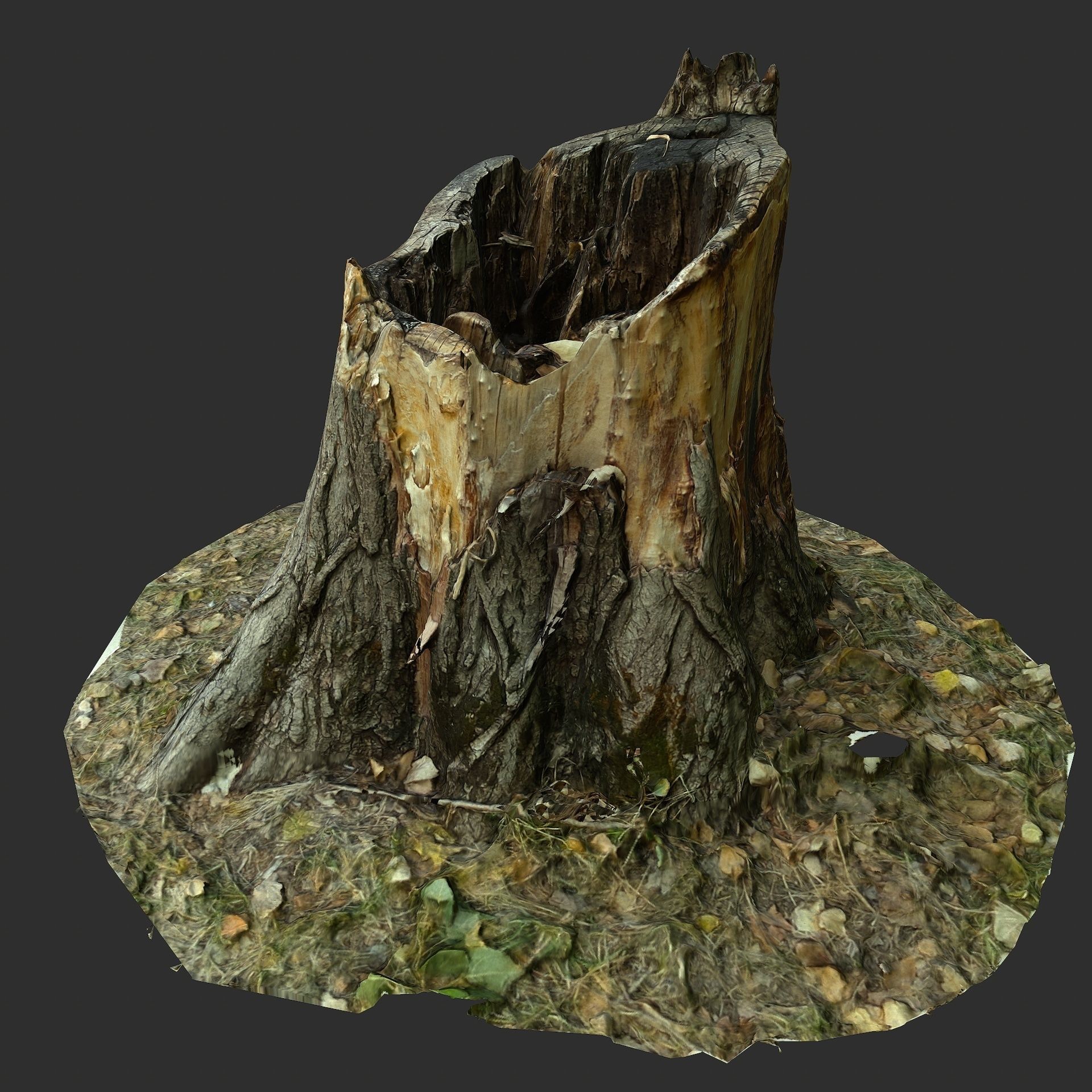 3D model 3D Scan BPR Tree Stump Collection model VR / AR / low-poly ...