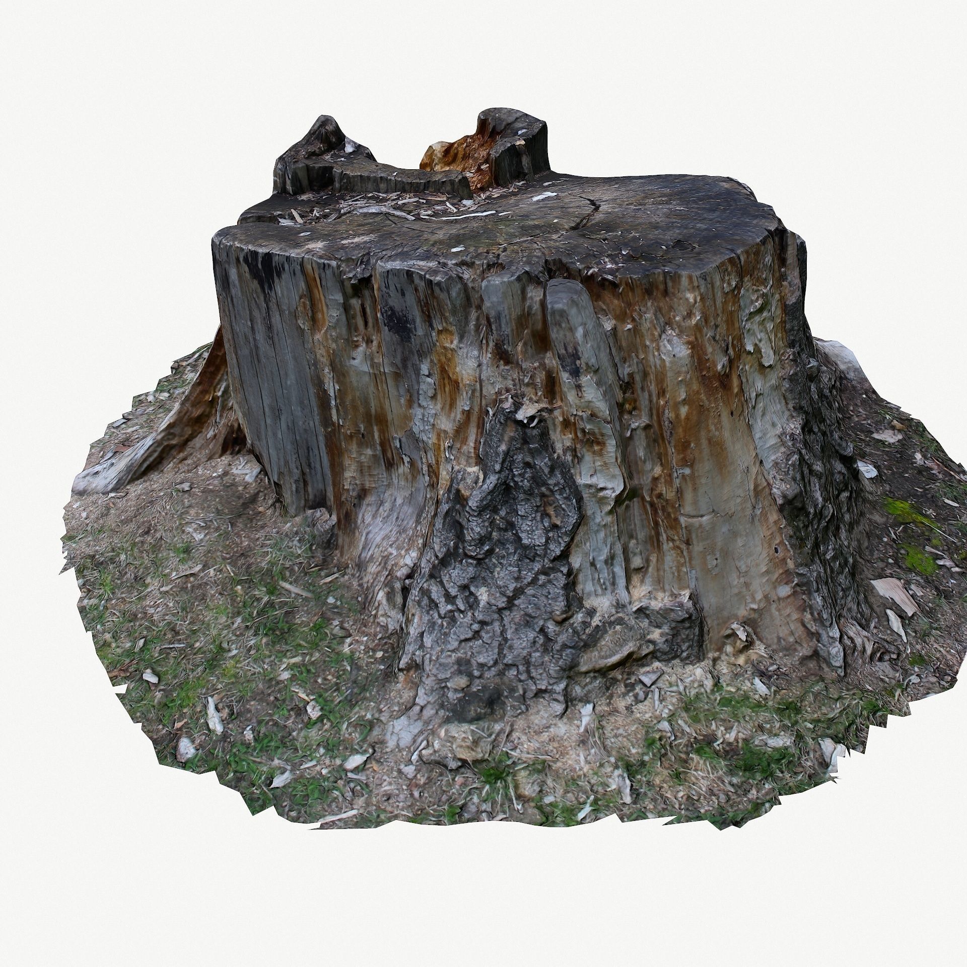 3D model 3D Scan BPR Tree Stump Collection model VR / AR / low-poly ...