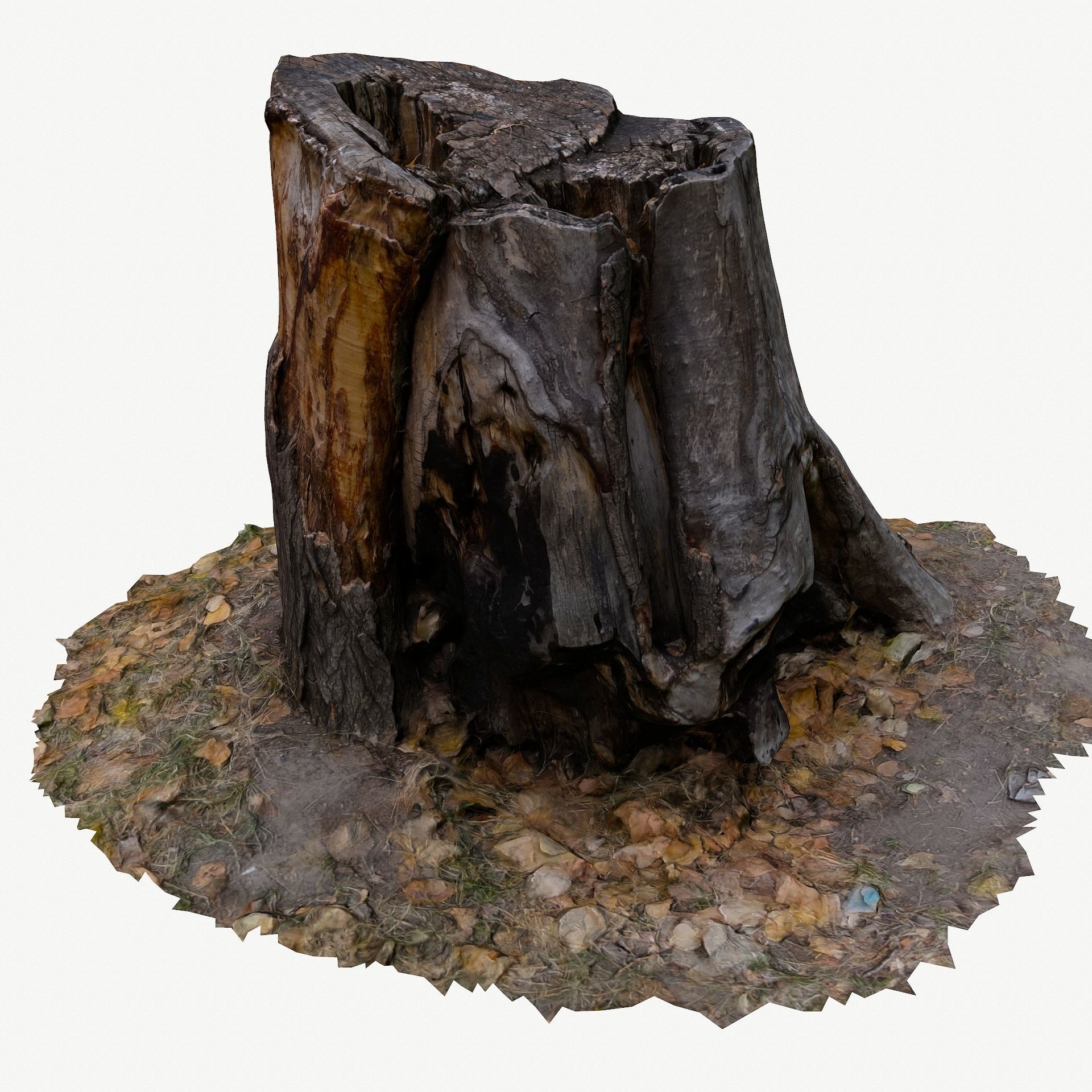 3D model 3D Scan BPR Tree Stump Collection model VR / AR / low-poly ...